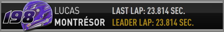 NASCAR 2025 Driver Details Component - SDK Gaming